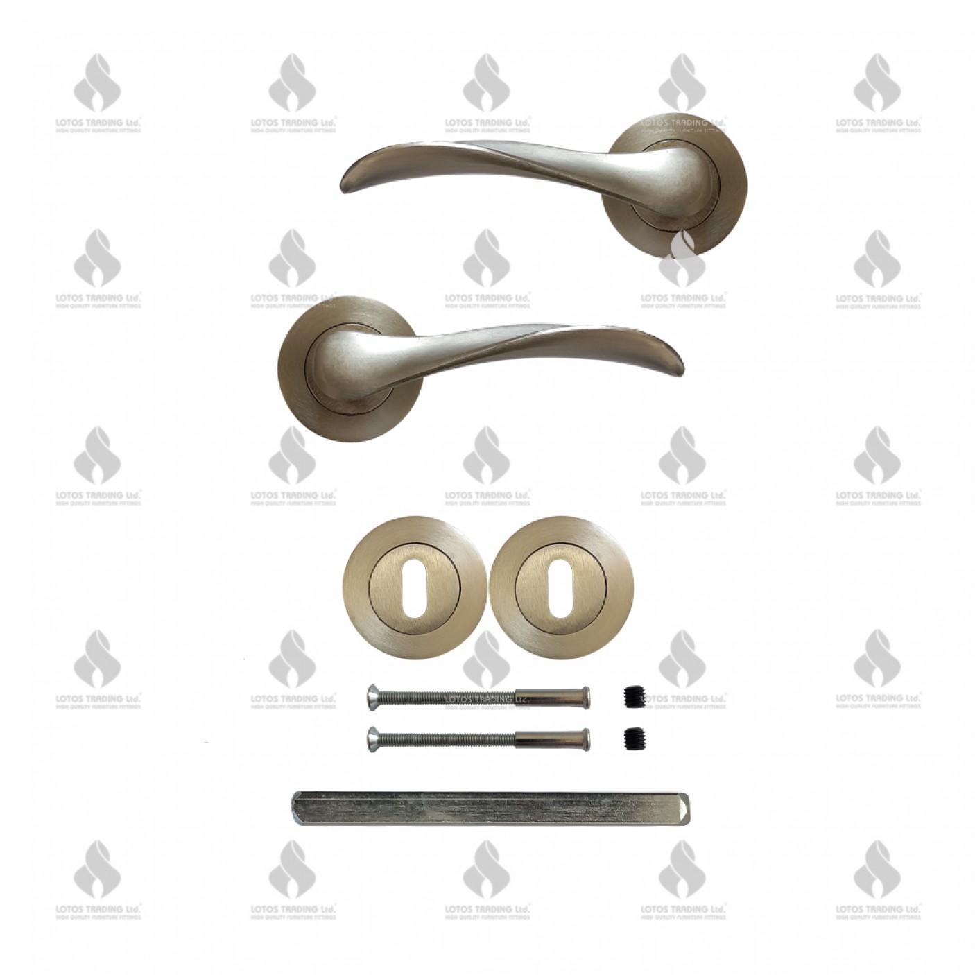 LEAF Shield with rosette - stainless steel 29L.650-652.08 - Inter